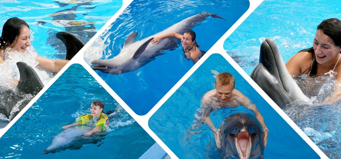 Antalya Swim With Dolphins 2025 | Only 100 € | Best Price in Antalya