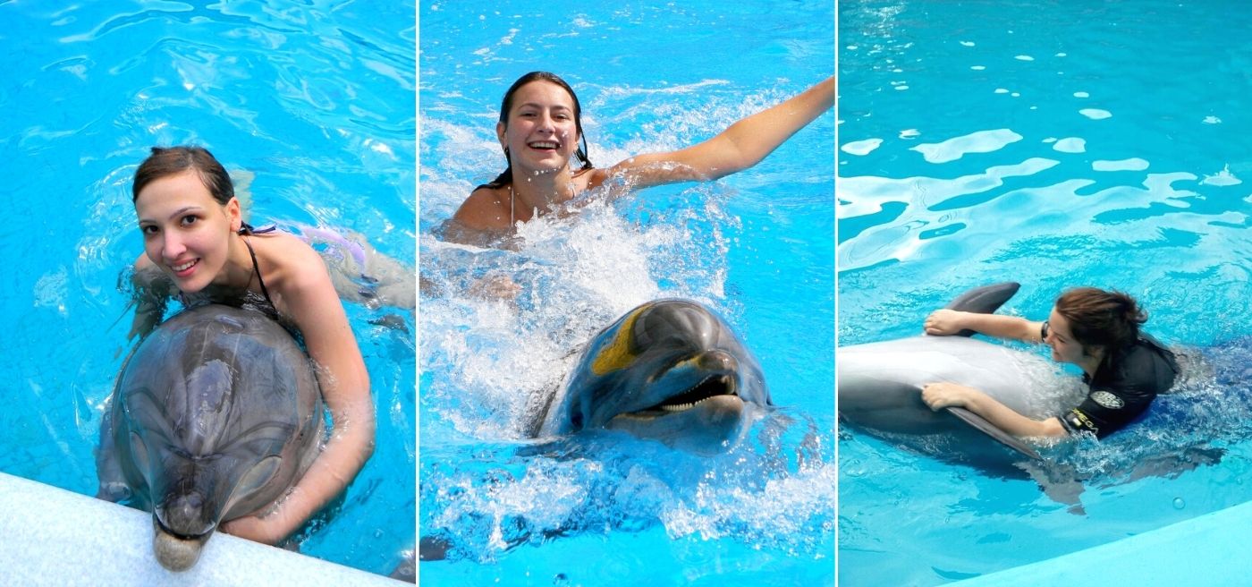 Antalya Swim With Dolphins 2024 | Only 100 € | Best Price in Antalya